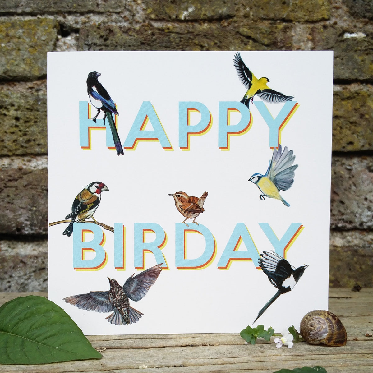 Little Plover | Nature Inspired Cards | Happy Birday Blank Birds Card