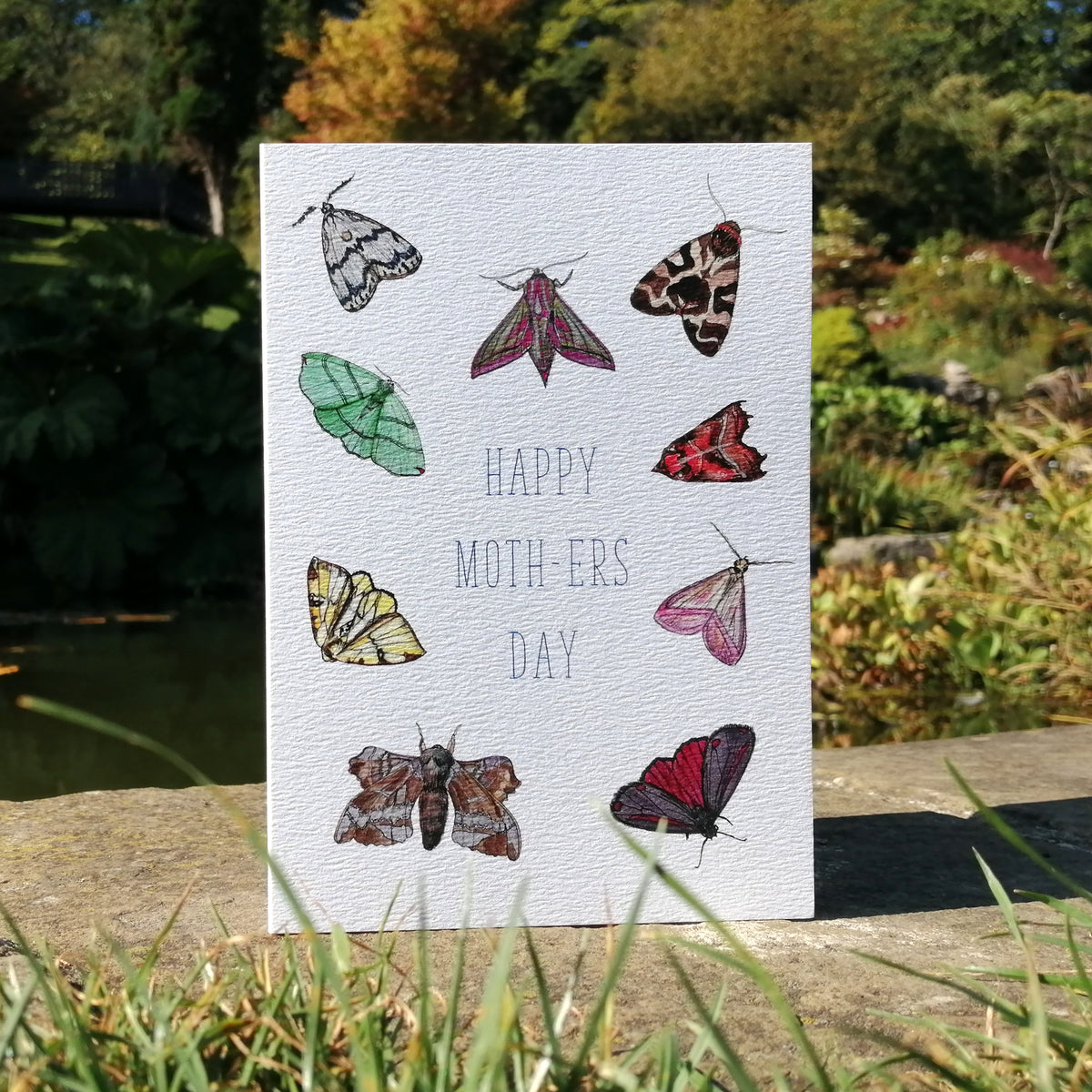 Little Plover | Nature Inspired Cards | Mothers Day Moth Blank Card
